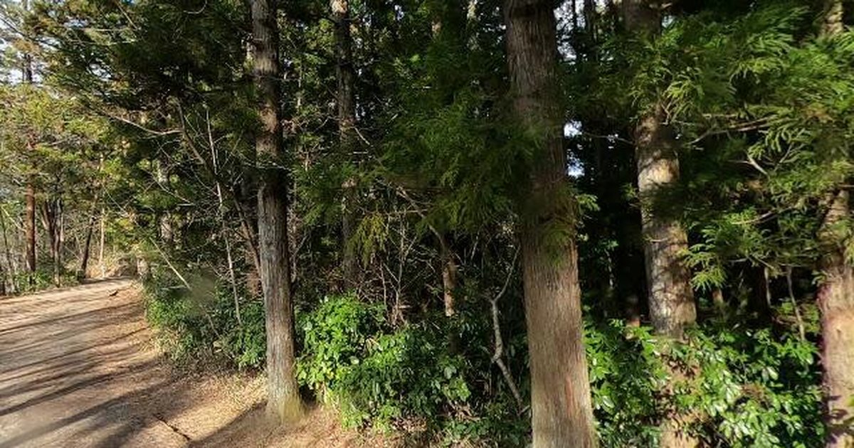 ツキノワグマ出没 宮城県仙台市 台原森林公園 (2026年5月20日) #0FDC - クママップ
