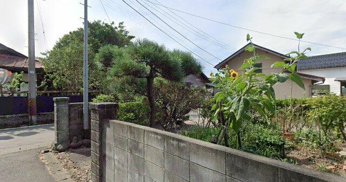 Black Bear in Sakata 大島田, Yamagata (Mar 10, 2026) #2F8D - Kumamap
