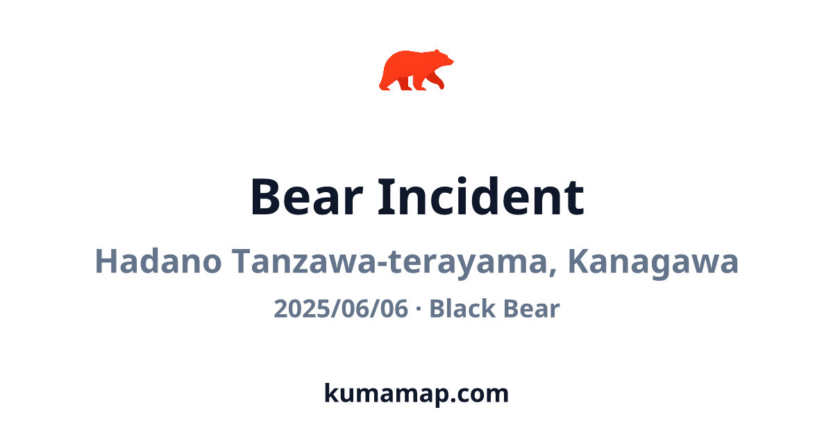 Black Bear in Hadano Tanzawa-terayama, Kanagawa (Jun 6, 2025) #50FD ...