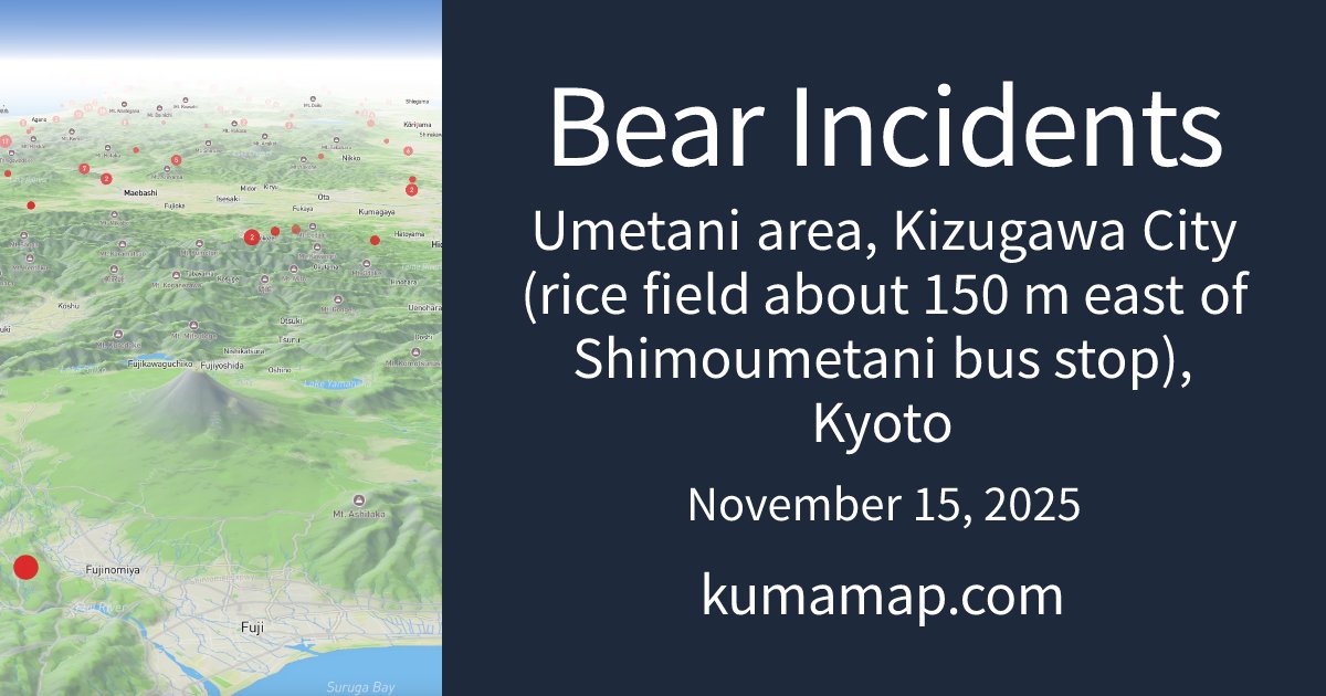 Black Bear incident in Umetani area, Kizugawa City (rice field about ...