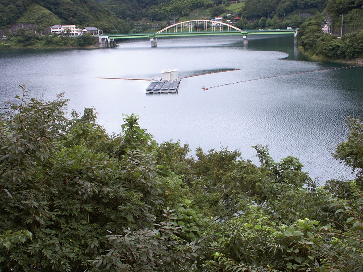 Lake Okutama Black Bear Map 2026 - 799 Incidents | Kumamap